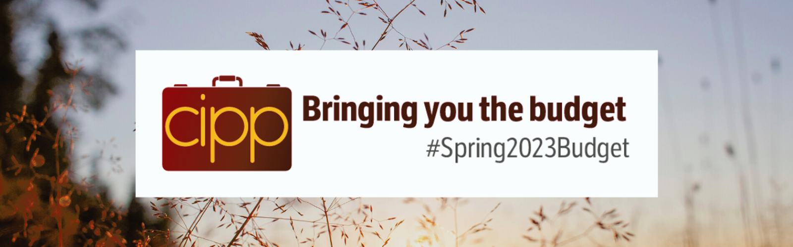 Spring Budget 2023
